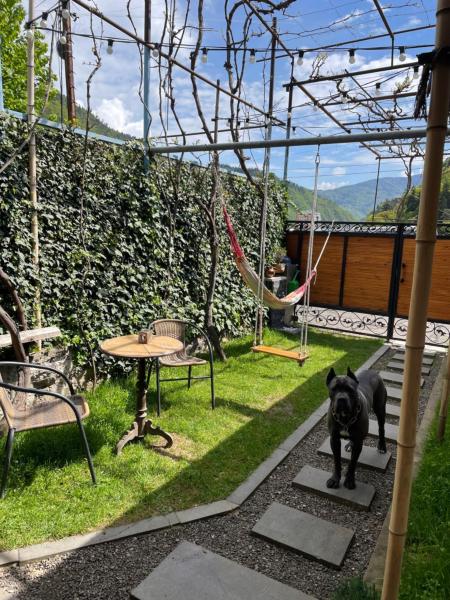 Autøgráph Boutique Høme 9 - Georgia