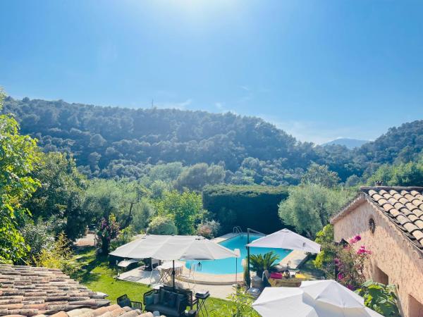 Abeille - Cagnes-sur-Mer