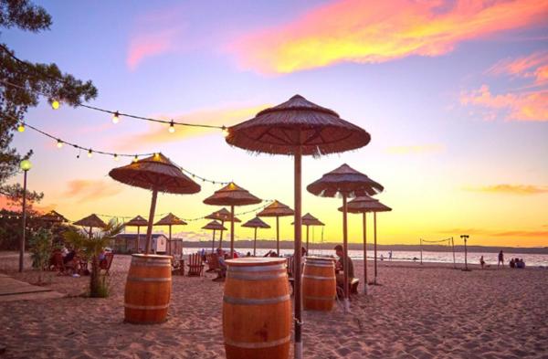 Mobilhome Camping Biscarrosse 5 éToiles Bord Du Lac - Biscarrosse