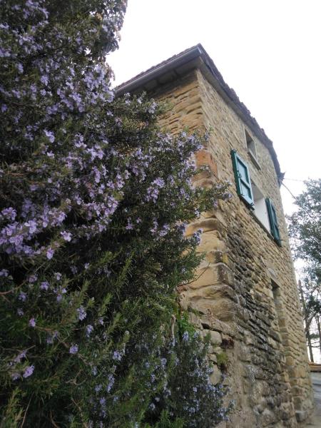 Agriturismo Il Regno Del Marrone - Émilie-Romagne