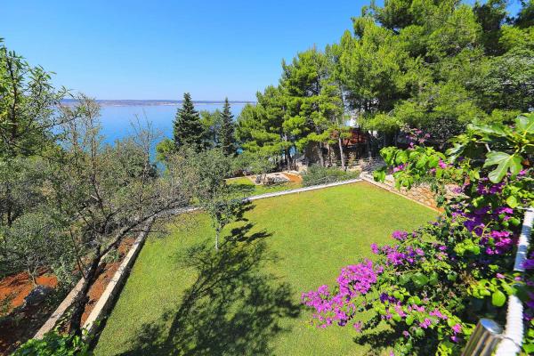 Steinhaus Mirko - Starigrad