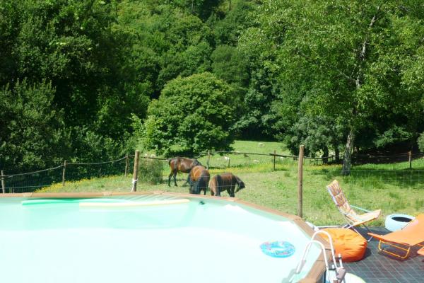Agrofarm With Animals - Qta Entre Sebes - Cabeceiras de Basto