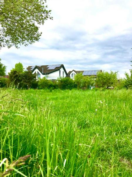 Ferienwohnung Greifzu Pröger - Greifswald
