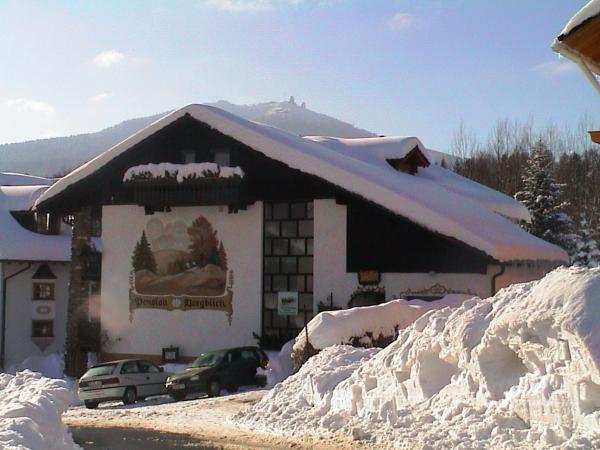 Pension Bergblick - Lam