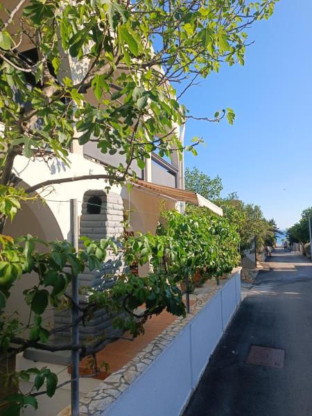 Apartments Branka- 4 Apartments In House- 1 Apartment Has Jacuzzi - Vir