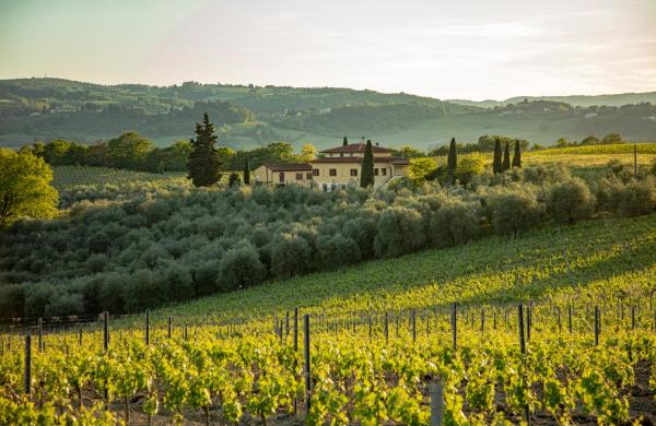 Podere San Michele - San Gimignano