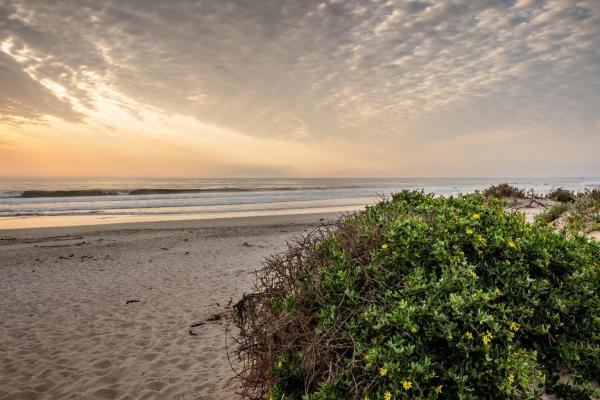 Unwind@167- Golden Mile - Saint Helena Bay