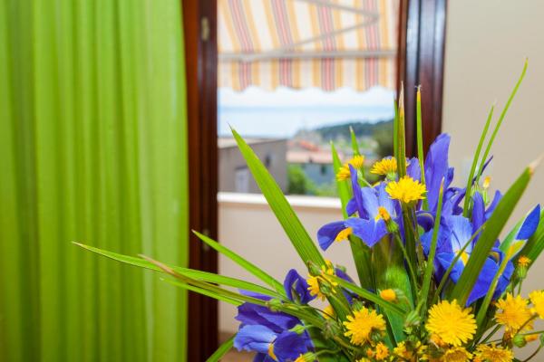 Apartmani Centar Makarska - Baška Voda