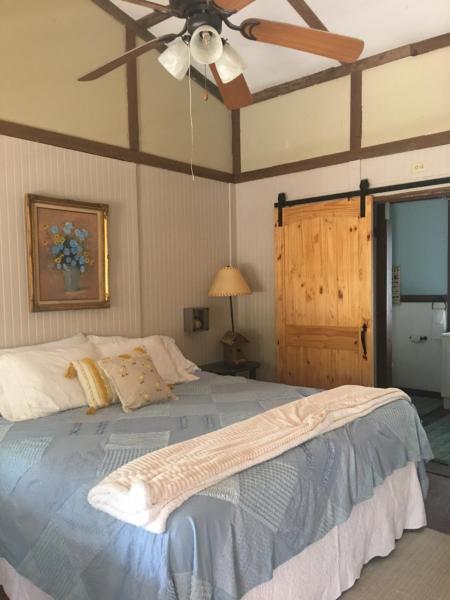 Acorn Hideaways Canton Sweet Tweet Guesthouse King Bed - Canton, TX