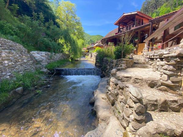 Pensiunea Mioritica - Romania