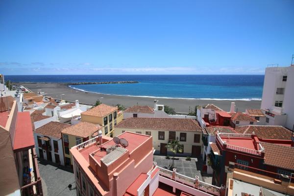 Banana Garden La Palma - La Palma