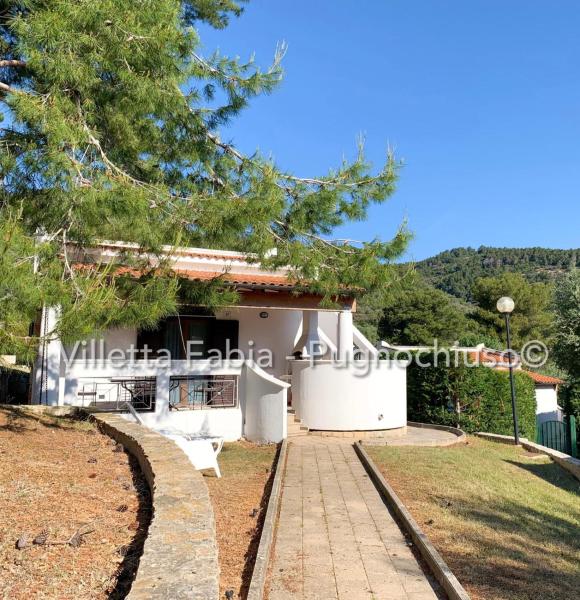 Le Macine Pugnochiuso Holidays - Mattinata