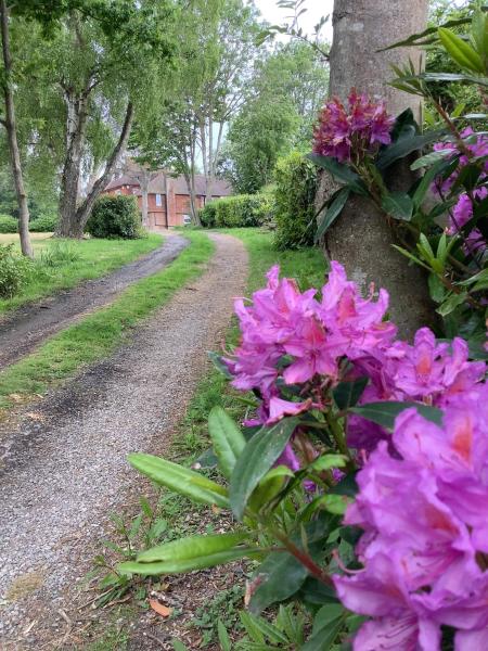 Humphries Cross Apartments - Tenterden
