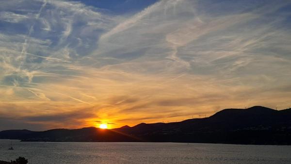 Apartment Cactus - Maslinica