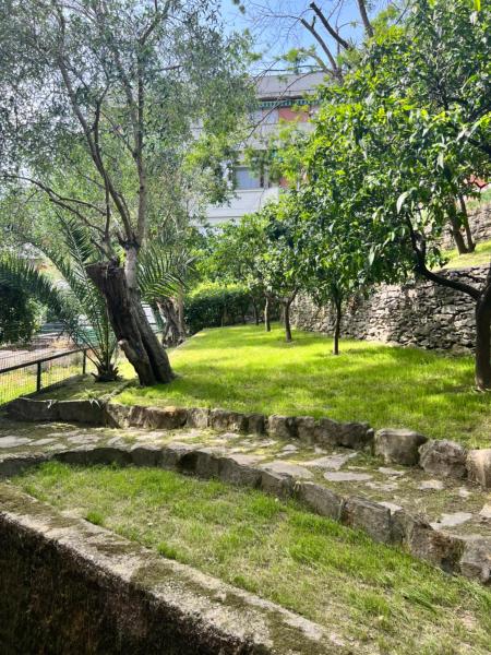Blue Garden - Rapallo
