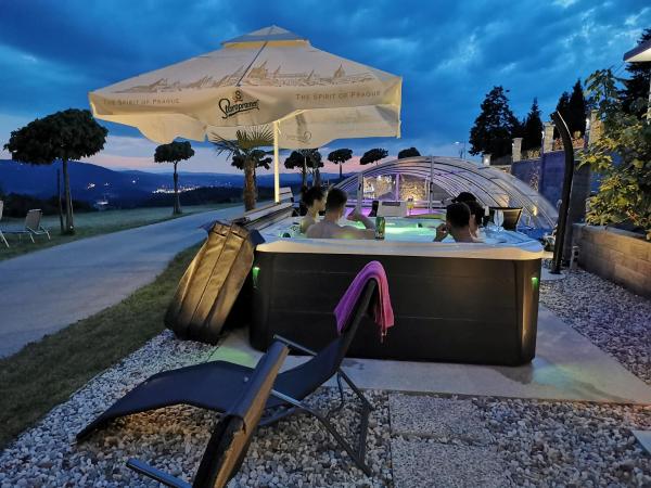 Three Stars Luxury House Art-pe With Pool And Spa Pool - Novo Mesto