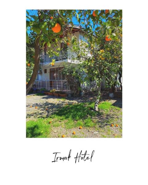 Cirali Hotel - Türkiye