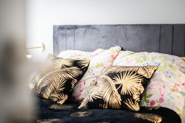 Apartament Ogrodowy Władysławowo - Władysławowo