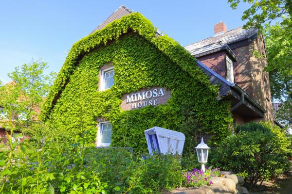 Mimosa House - List