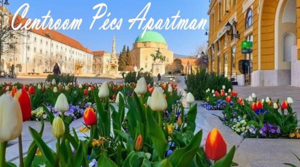 Centroom Pécs Apartman - Pécs