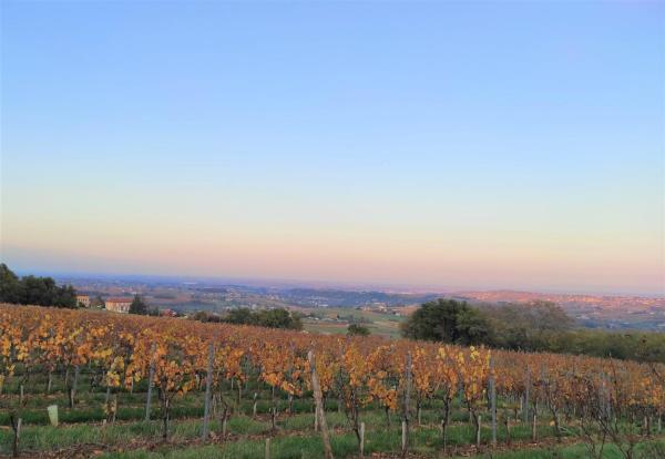 Appartement Cogny - Les Meublés Des Pierres Dorées - Anse