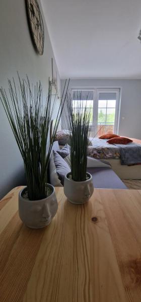 Apartamenty Hexagon Nr 25 - Grzybowo