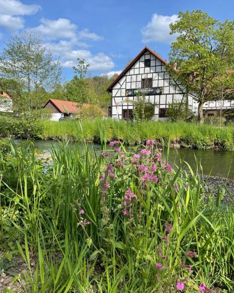 Landhotel Der Distelhof Mit Scheunencafé - Thuringia