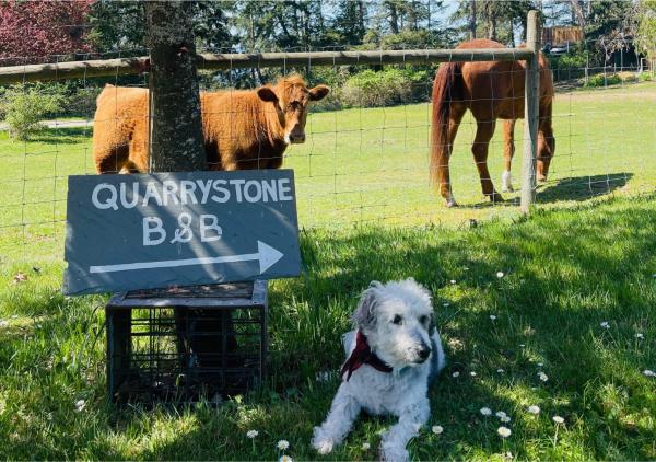 Quarrystone House B&b - Salt Spring Island