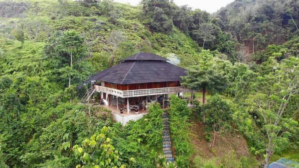 Bukit Lawang Hill Resort - North Sumatra