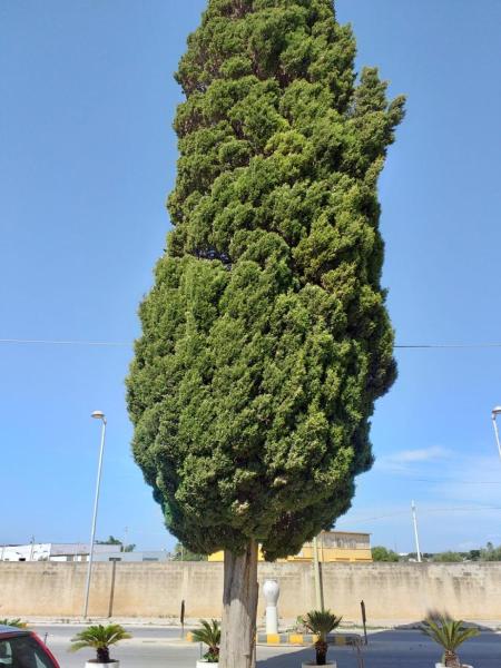 L'albero Bello Holiday - Mazara del Vallo