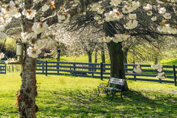 Lupin Lodge Bed & Breakfast - Lake Taupo