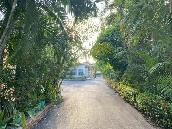 Baan Suan Palm Resort - Phitsanulok