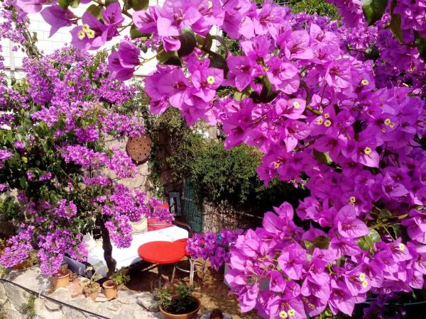Nonina - Relax And Let Go - Dubrovnik
