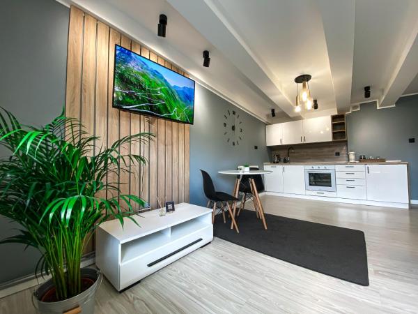 Bp Apartment Vi - Toruń