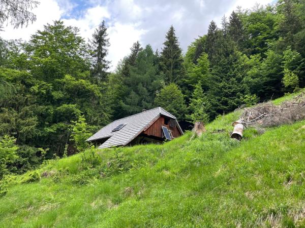 Architect`s Cottage - Serenity And Greenery In The Highlands - Stara Fužina