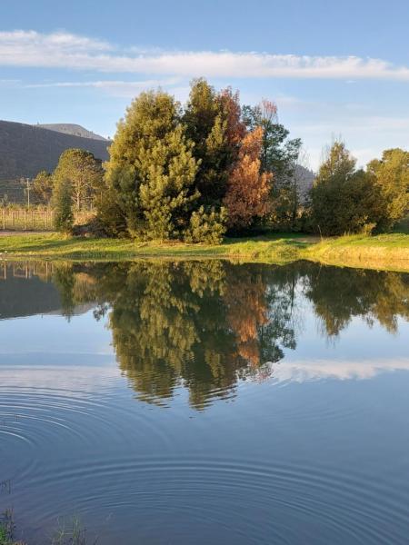 20 Good Summers Farm Stay - South Africa