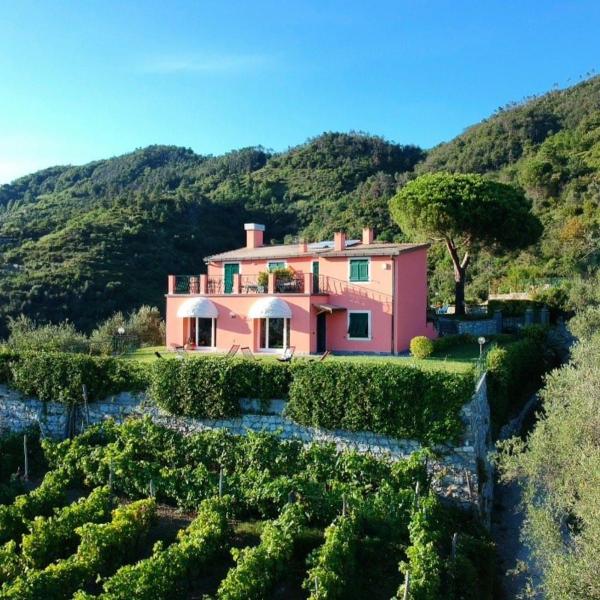 La Vignana - 5 Terre - Levanto