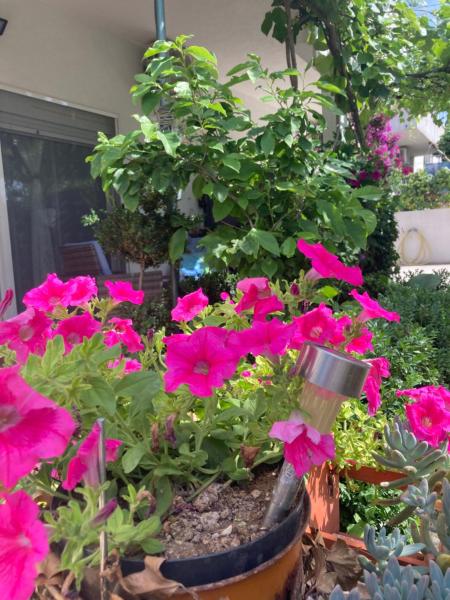 Quite Beautiful Apartment In The Split Neda With 4bedrooms - Split