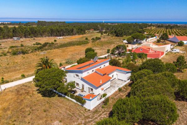 Arrifana Pines - Aljezur
