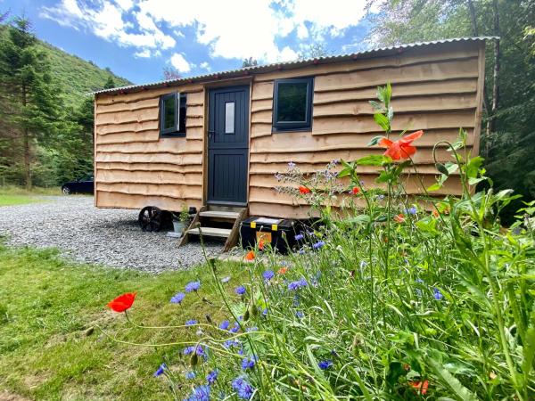 Empress En Suite Wagon - ノース・ウェールズ