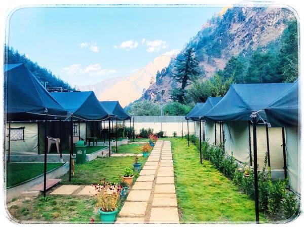 North Deodar Camps - Mandi