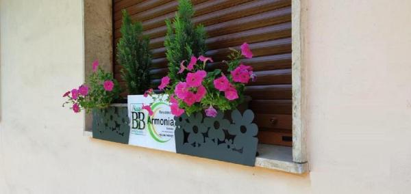B&b Residence Armonia Sulmona - Campo di Giove
