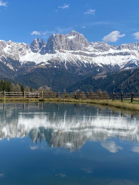 Schneiderhaus - Tiers