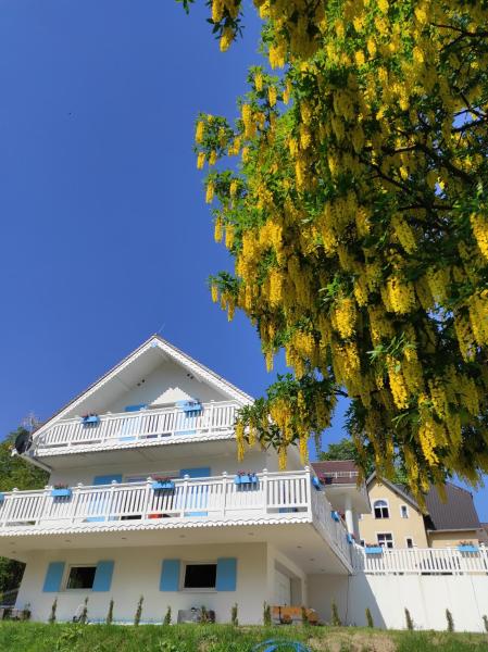 Apt Fiona4 Centrum700m Parking Bezpłatny Monitorowany Salon Z Sypialnią Tv ŁAzienka Kuchnia Rekuperacja - Karpacz