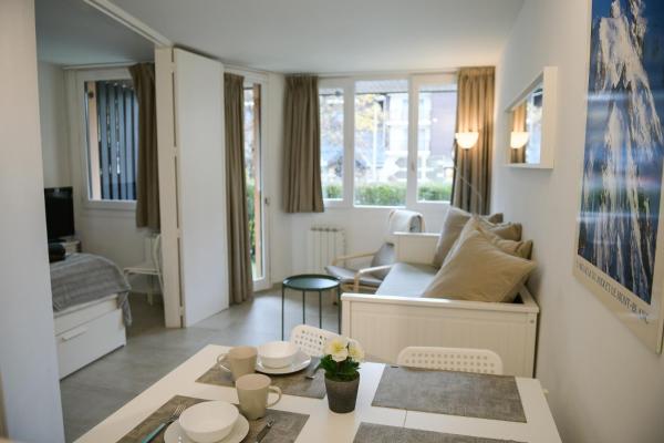 Chamonix 27 - Au Centre Vue Mont Blanc Et Jardin - Chamonix-Mont-Blanc