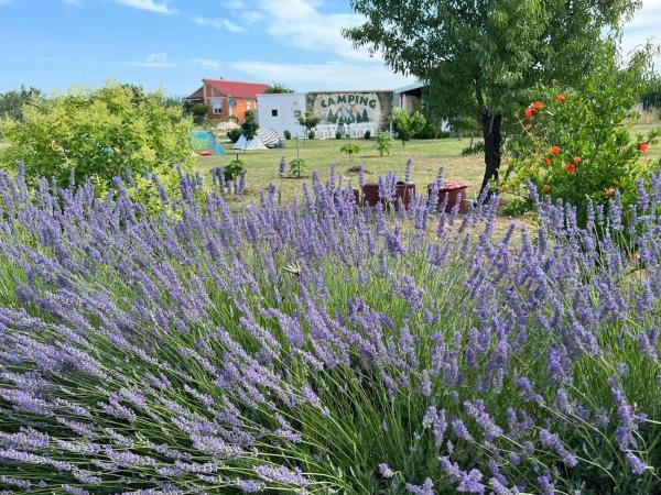Camping Laste - Bibinje