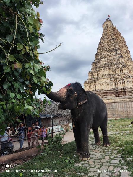 Temple View Guest House - Hampi