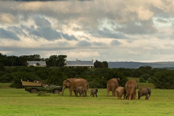 Riverbend Lodge - Addo