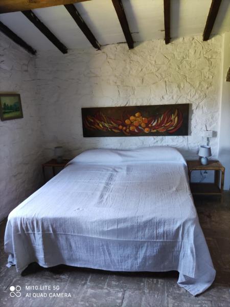 La Terrazza B&b - Tuscany