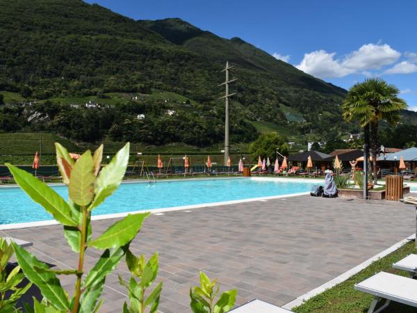 Wonderful Private Villa With Wifi, Pool, A/c, Terrace, Pets Allowed, Panoramic View And Parking - Bellinzona